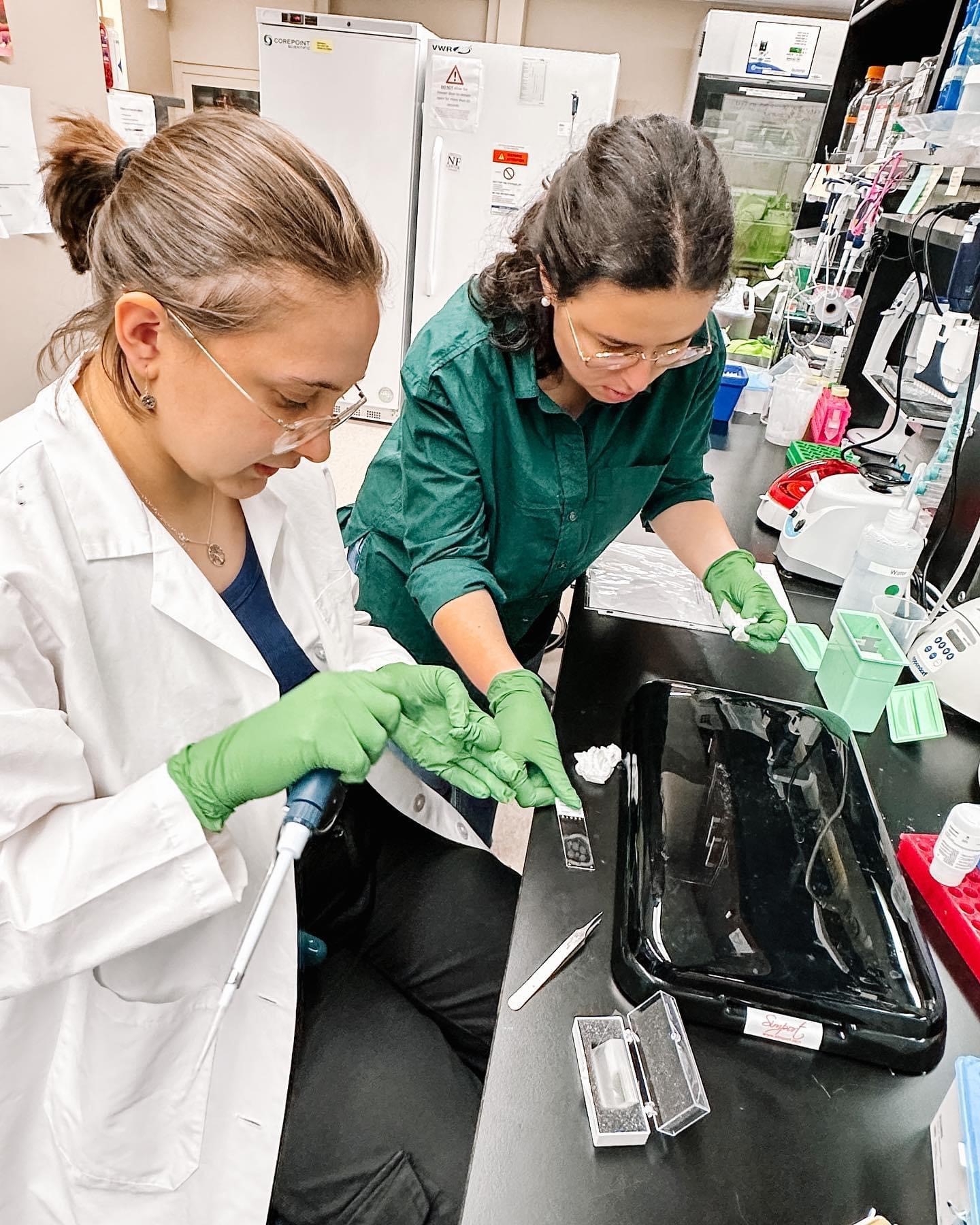 Washington University Neurofibromatosis Center Celebrates 30 Years of ...